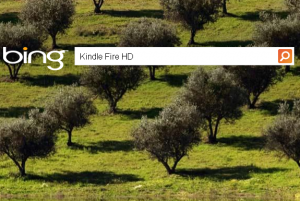 Amazon Kindle Fire HD uses Bing as default search engine - Tapscape