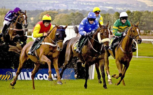 Virtual Horse Racing 3D Review | Tapscape