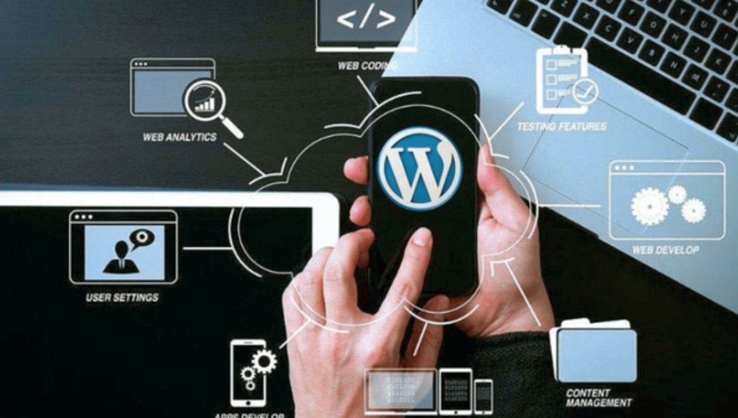 Why WordPress Is The BEST Platform To Build Your Business? | Tapscape Why WordPress Is The BEST Platform To Build Your Business? | Tapscape