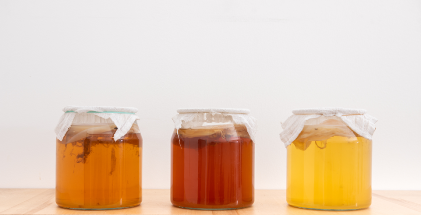 Kombucha: Choosing The Best Kombucha Jars | Tapscape