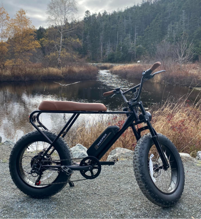 The Rise of Modified e-Bikes and the Macfox X1 Experience | Tapscape